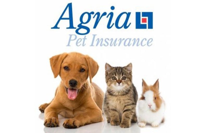 CASE STUDY: Increasing conversions at Agria Pet Insurance - Contact ...